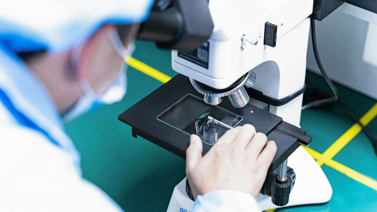 Stainless Steel Electrodes for Hippocampal Plasticity | Advent Research ...